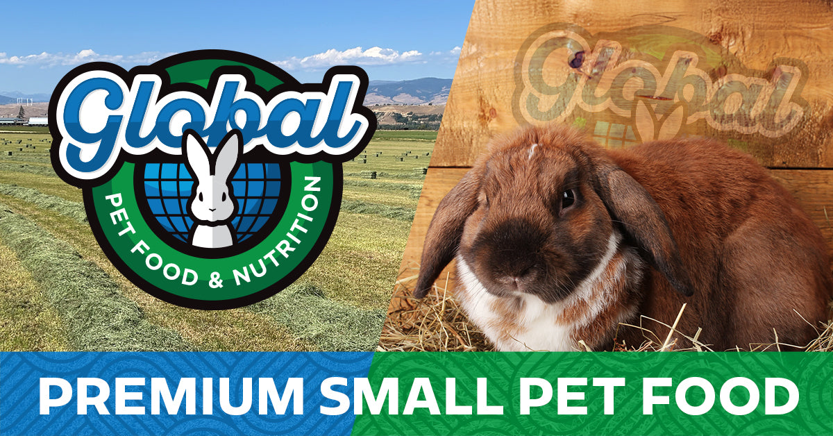 Global Pet Food & Nutrition - Small Pet Food & Products – Global Pet ...